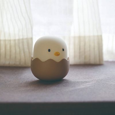 LED Hatched Chick Lamp | Reusables and More