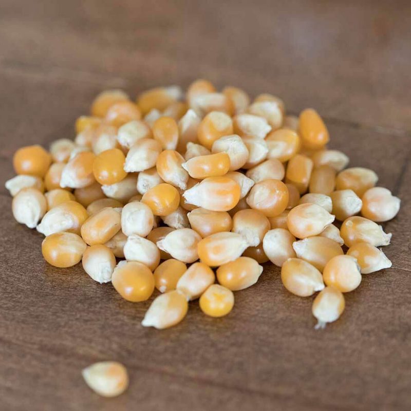 Extra Large Caramel Type Popcorn | Reusables and More