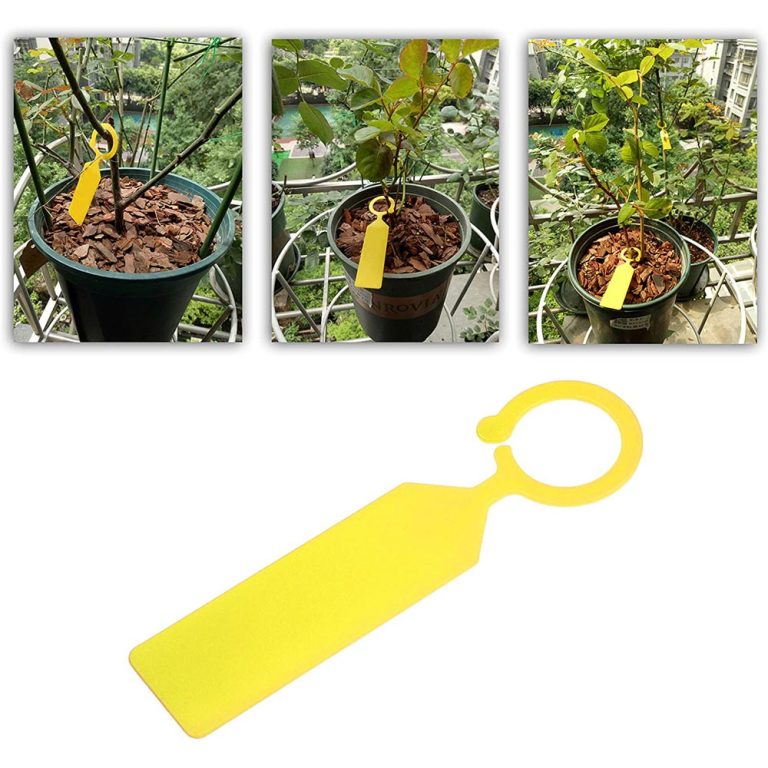 Hanging Plant Tags | Reusables and More